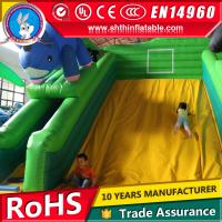 China Custom Inflatable Cartoon Slide 8x6x5.4m with 0.55mm PVC Tarpaulin for Commercial Use for sale