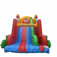 China Customized PVC Inflatable Water Slide for Kids and Adults 3x3m with CE Blower for sale
