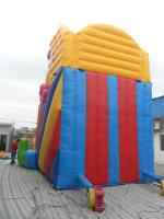 China Customized PVC Inflatable Water Slide for Kids and Adults 3x3m with CE Blower for sale