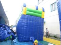 China Wholesale Custom PVC Inflatable Water Slide 6x3x4.5m Kids Bouncy Slide for Sale for sale