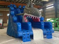 China Huge Inflatable Shark Slide 9x8x7m for Kids and Adults Water Park for sale