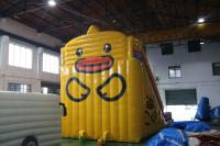 China Inflatable Water Slide Big Yellow Duck Theme PVC Kids Playground Indoor Outdoor 10-15 Kids Capacity for sale