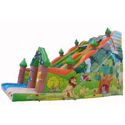 China Customizable Inflatable Water Slide 10x3 ft PVC Tarpaulin Outdoor Entertainment for Children for sale