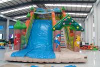 China Customizable Inflatable Water Slide 10x3 ft PVC Tarpaulin Outdoor Entertainment for Children for sale