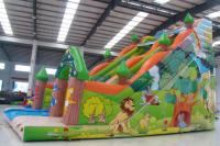 China Customizable Inflatable Water Slide 10x3 ft PVC Tarpaulin Outdoor Entertainment for Children for sale