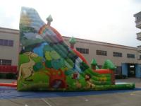 China Customizable Inflatable Water Slide 10x3 ft PVC Tarpaulin Outdoor Entertainment for Children for sale