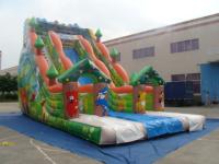 China Customizable Inflatable Water Slide 10x3 ft PVC Tarpaulin Outdoor Entertainment for Children for sale