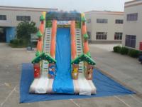 China Customizable Inflatable Water Slide 10x3 ft PVC Tarpaulin Outdoor Entertainment for Children for sale