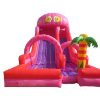 China Pink Owl Themed Inflatable Water Slide 0.55mm PVC Outdoor Playground for Kids 500kg Capacity for sale
