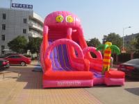 China Pink Owl Themed Inflatable Water Slide 0.55mm PVC Outdoor Playground for Kids 500kg Capacity for sale