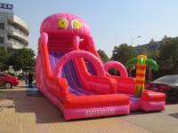 China Pink Owl Themed Inflatable Water Slide 0.55mm PVC Outdoor Playground for Kids 500kg Capacity for sale