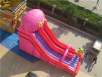 China Pink Owl Themed Inflatable Water Slide 0.55mm PVC Outdoor Playground for Kids 500kg Capacity for sale