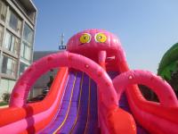 China Pink Owl Themed Inflatable Water Slide 0.55mm PVC Outdoor Playground for Kids 500kg Capacity for sale