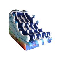 China Large Inflatable Water Slide for Park 0.55mm PVC Tarpaulin Shark Design Custom Size for sale