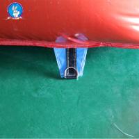 China Large Inflatable Water Slide for Park 0.55mm PVC Tarpaulin Shark Design Custom Size for sale