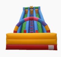 China Custom Outdoor Rainbow Inflatable Water Slide for Party Rentals 5-10 Kids for sale