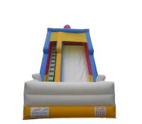 China Custom Durable PVC 0.55mm Inflatable Bounce House with Water Slide 8x4x7m for Party Rental for sale