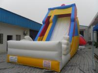 China Custom Durable PVC 0.55mm Inflatable Bounce House with Water Slide 8x4x7m for Party Rental for sale