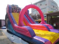 China Custom Pink Inflatable Bouncer Slide Bounce House 9.5x4.5x6.5m for Party Rentals Commercial Use for sale