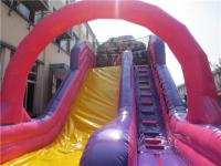 China Custom Pink Inflatable Bouncer Slide Bounce House 9.5x4.5x6.5m for Party Rentals Commercial Use for sale