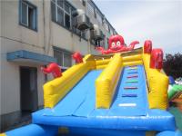 China Red Octopus Inflatable Water Slide with Swimming Pool 5x4x4.6m for Kids Adults Commercial Use for sale