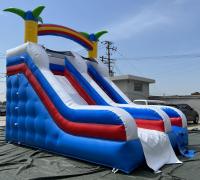 China Commercial Inflatable Water Slide Bounce House for Kids Adults with 3 Year Warranty PVC for sale
