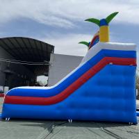 China Commercial Inflatable Water Slide Bounce House for Kids Adults with 3 Year Warranty PVC for sale