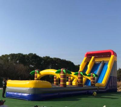 China Custom Inflatable Water Slide with Pool for Kids Adults Commercial Outdoor Play 3 Year Warranty for sale