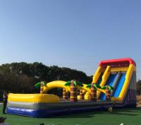 China Custom Inflatable Water Slide with Pool for Kids Adults Commercial Outdoor Play 3 Year Warranty for sale