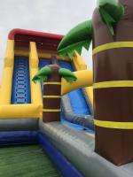 China Custom Inflatable Water Slide with Pool for Kids Adults Commercial Outdoor Play 3 Year Warranty for sale