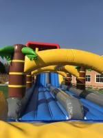 China Custom Inflatable Water Slide with Pool for Kids Adults Commercial Outdoor Play 3 Year Warranty for sale
