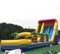 China Custom Inflatable Water Slide with Pool for Kids Adults Commercial Outdoor Play 3 Year Warranty for sale