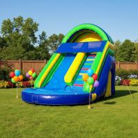 China Outdoor Inflatable Water Slide with Pool for Kids Adults 100-500kg Capacity Custom Size for sale
