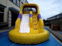 China Outdoor Inflatable Water Slide with Pool for Kids Adults 100-500kg Capacity Custom Size for sale