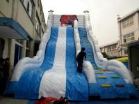China Outdoor Inflatable Water Slide with Pool for Kids Adults 100-500kg Capacity Custom Size for sale