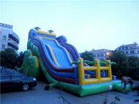 China Outdoor Inflatable Water Slide with Pool for Kids Adults 100-500kg Capacity Custom Size for sale