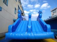 China Outdoor Inflatable Water Slide with Pool for Kids Adults 100-500kg Capacity Custom Size for sale