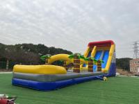 China Inflatable Water Slide PVC Giant Outdoor Land Slide with Pool for Adults Commercial Splash Attraction 0.45mm for sale
