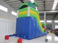 China Commercial Inflatable Water Slide PVC 5-10 Kids Capacity Palm Tree Design for Amusement Park for sale