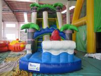 China Commercial Inflatable Water Slide PVC 5-10 Kids Capacity Palm Tree Design for Amusement Park for sale