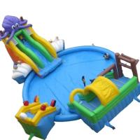 China Inflatable Purple Octopus Water Slide for Kids and Adults 5-10 Person Capacity PVC for sale