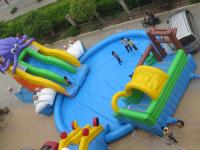 China Inflatable Purple Octopus Water Slide for Kids and Adults 5-10 Person Capacity PVC for sale