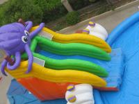 China Inflatable Purple Octopus Water Slide for Kids and Adults 5-10 Person Capacity PVC for sale