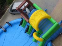 China Inflatable Purple Octopus Water Slide for Kids and Adults 5-10 Person Capacity PVC for sale