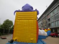 China Inflatable Purple Octopus Water Slide for Kids and Adults 5-10 Person Capacity PVC for sale