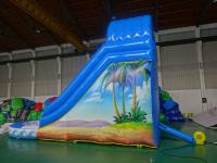 China Custom PVC Inflatable Water Slide with Pool for Party Rental 5-10 Children Capacity for sale