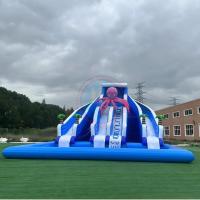 China Custom Inflatable Water Slide with Pool 2 Lane Ocean Theme for Commercial Events for sale