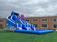 China Custom Inflatable Water Slide with Pool 2 Lane Ocean Theme for Commercial Events for sale
