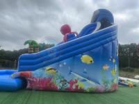 China Custom Inflatable Water Slide with Pool 2 Lane Ocean Theme for Commercial Events for sale