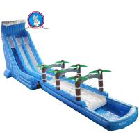 China Long Double-lane Pool Water Slide Inflatable Water Slide for sale